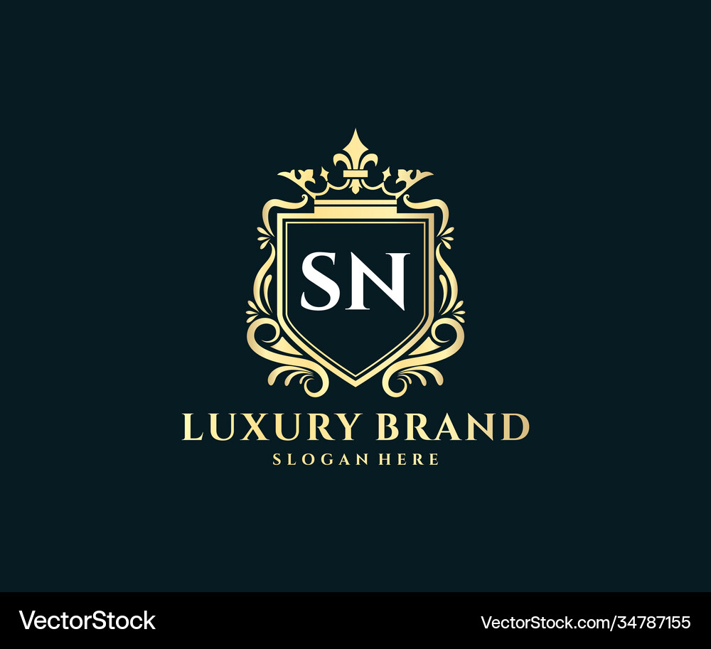 Sn initial letter gold calligraphic feminine Vector Image