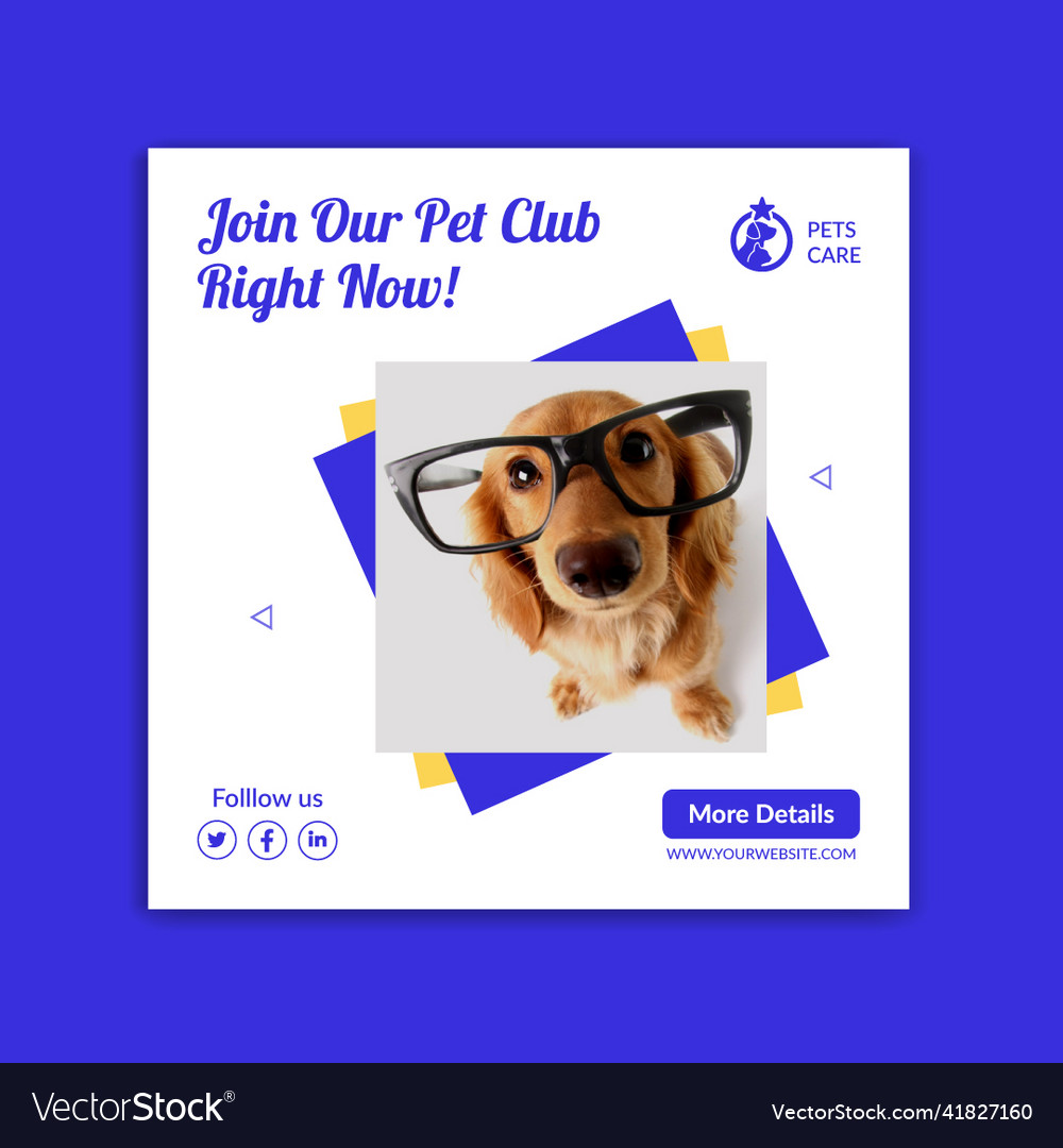 Adopt a pet social media post template Royalty Free Vector