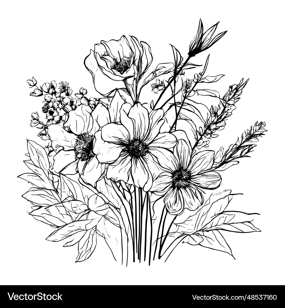 Flowers wildflowers hand drawn Royalty Free Vector Image