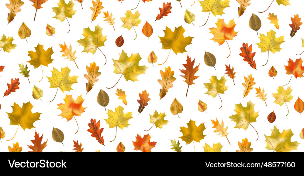 Seamless pattern with colorful autumn leaves Vector Image