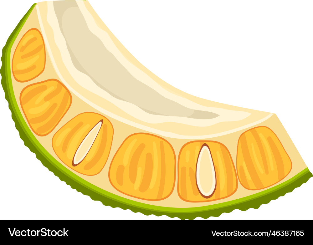 Jackfruit slice cut cartoon Royalty Free Vector Image