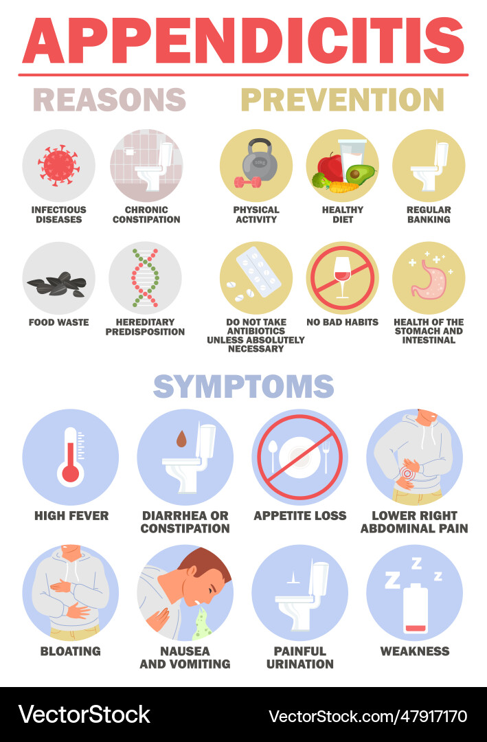Appendicitis reasons preventions and symptoms Vector Image