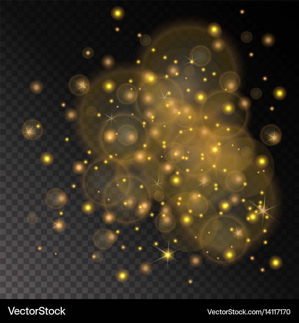 Golden lights concept abstract on transparent Vector Image