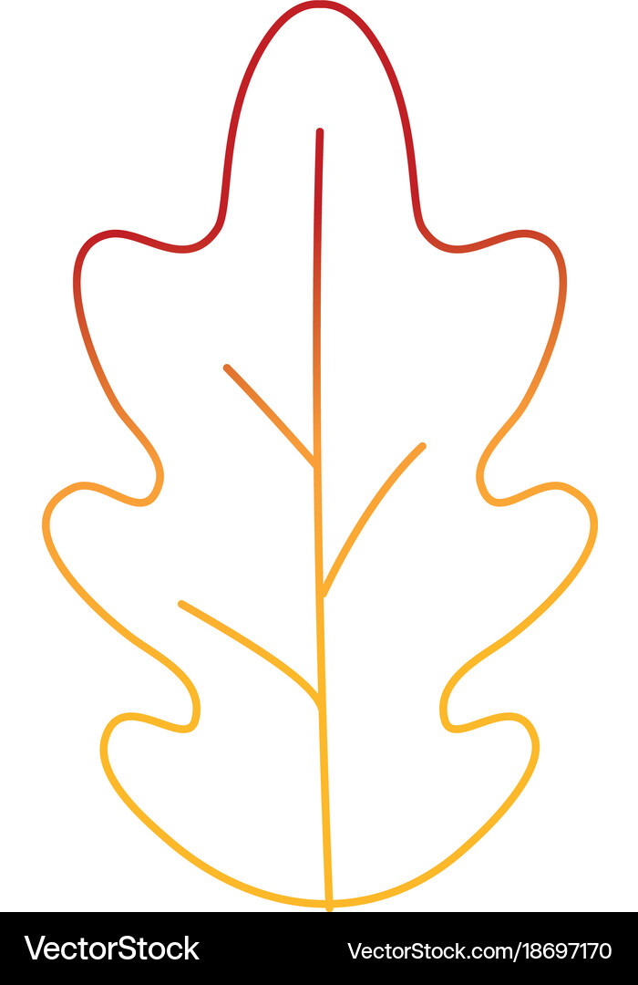 Isolated leaf design Royalty Free Vector Image