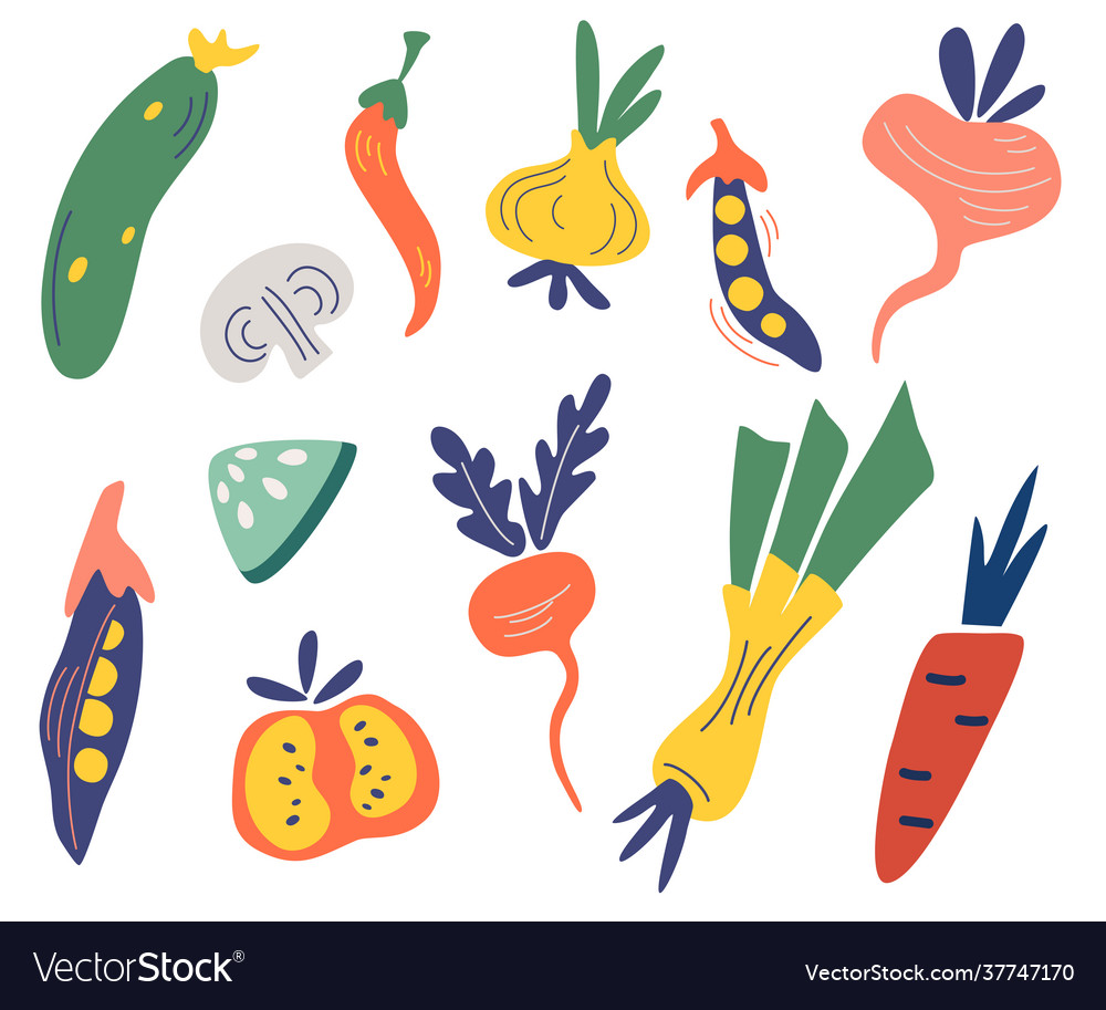 Vegetables set big collection colored hand Vector Image