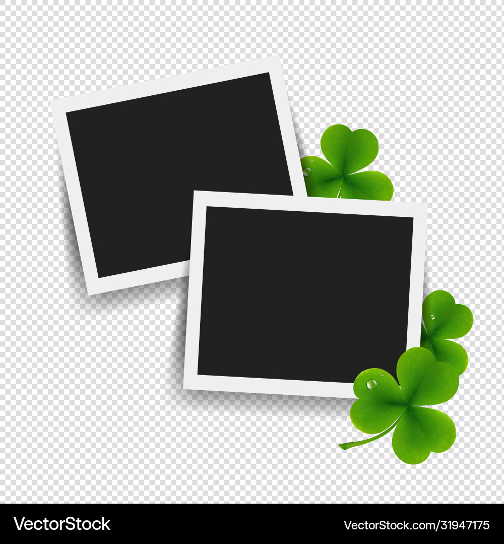 Photo with clover transparent background Vector Image