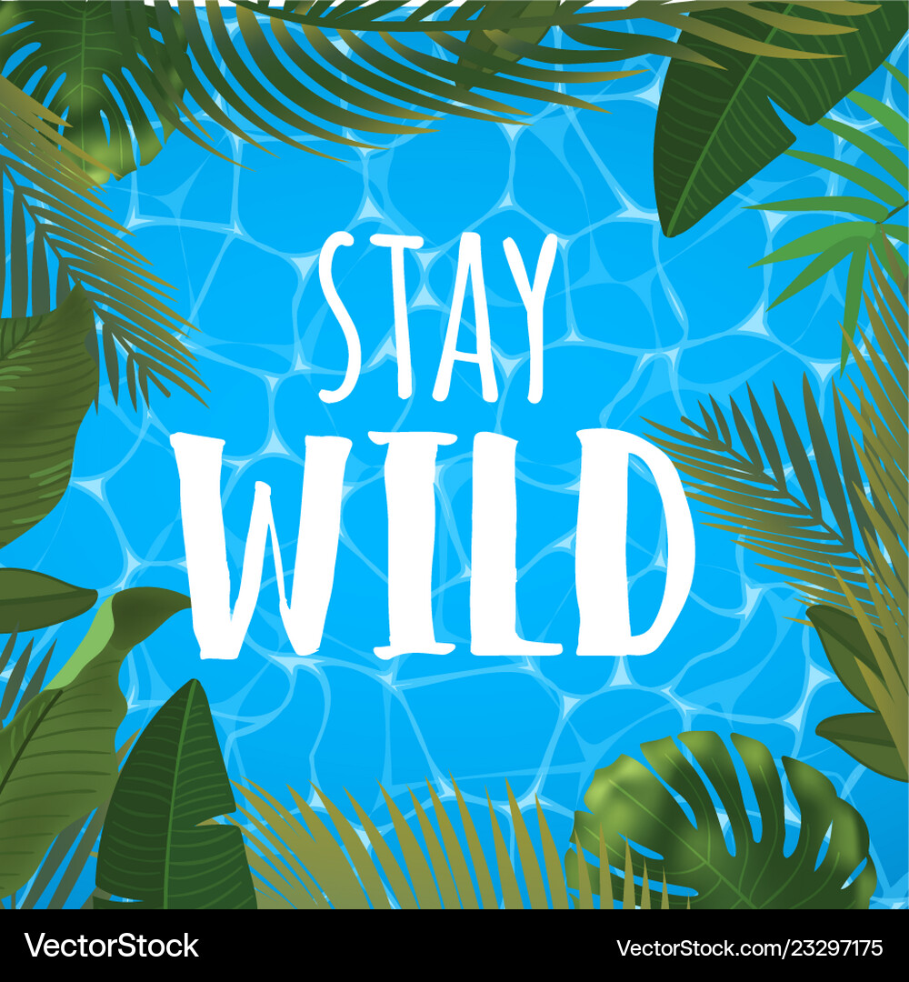 Stay wild message on marine background pool Vector Image