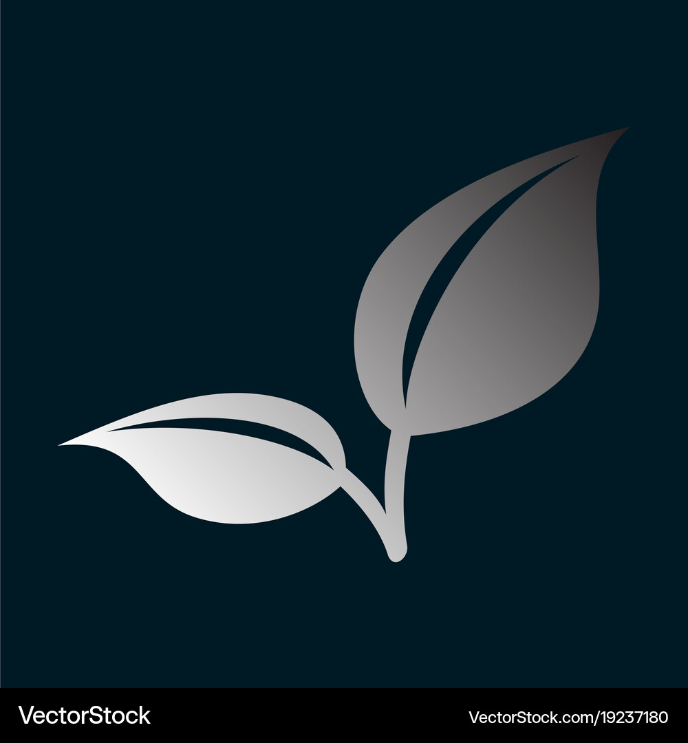 Fresh mint leaf flat menthol healthy aroma herbal Vector Image