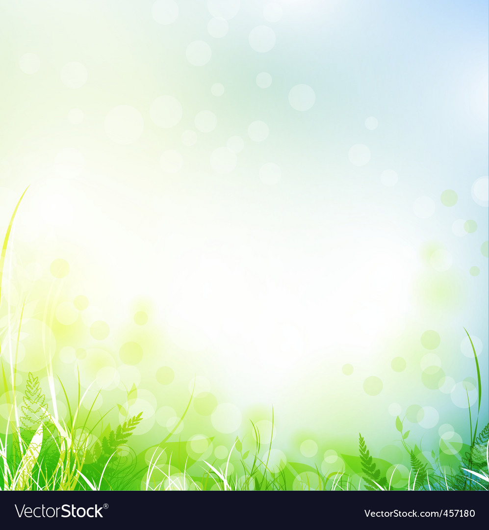 Spring meadow Royalty Free Vector Image - VectorStock