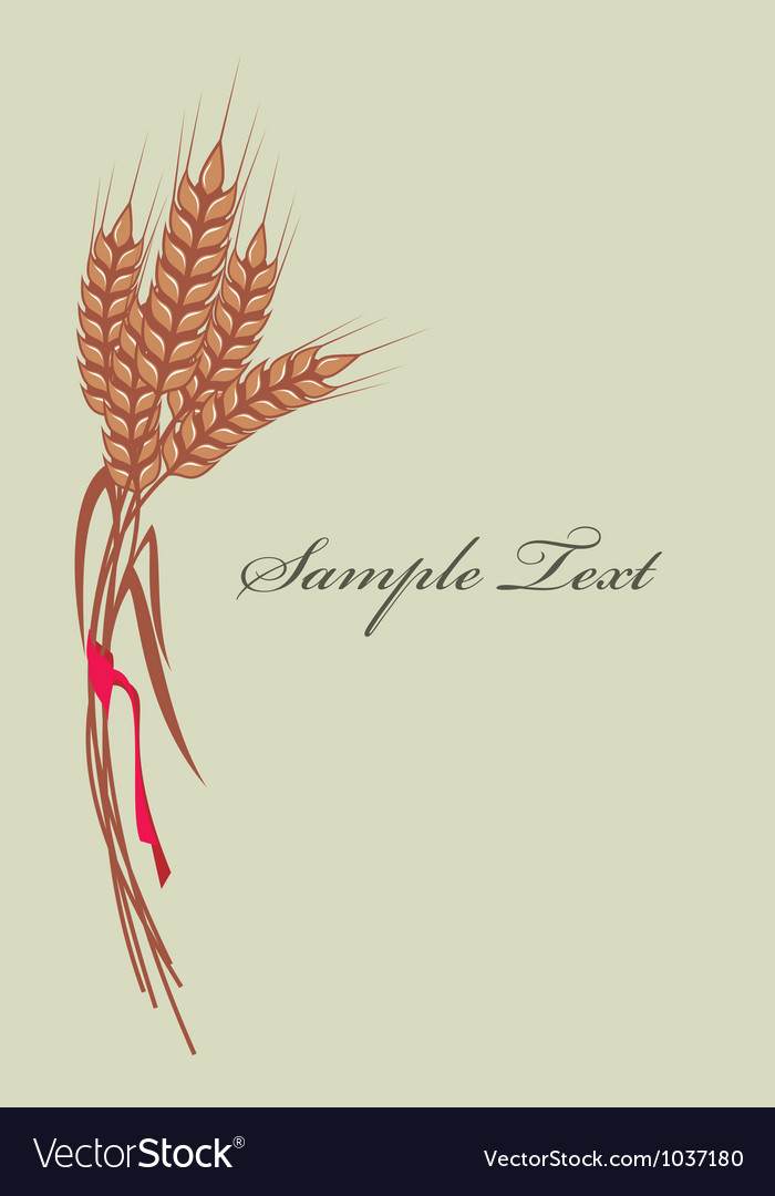 Wheat background Royalty Free Vector Image - VectorStock