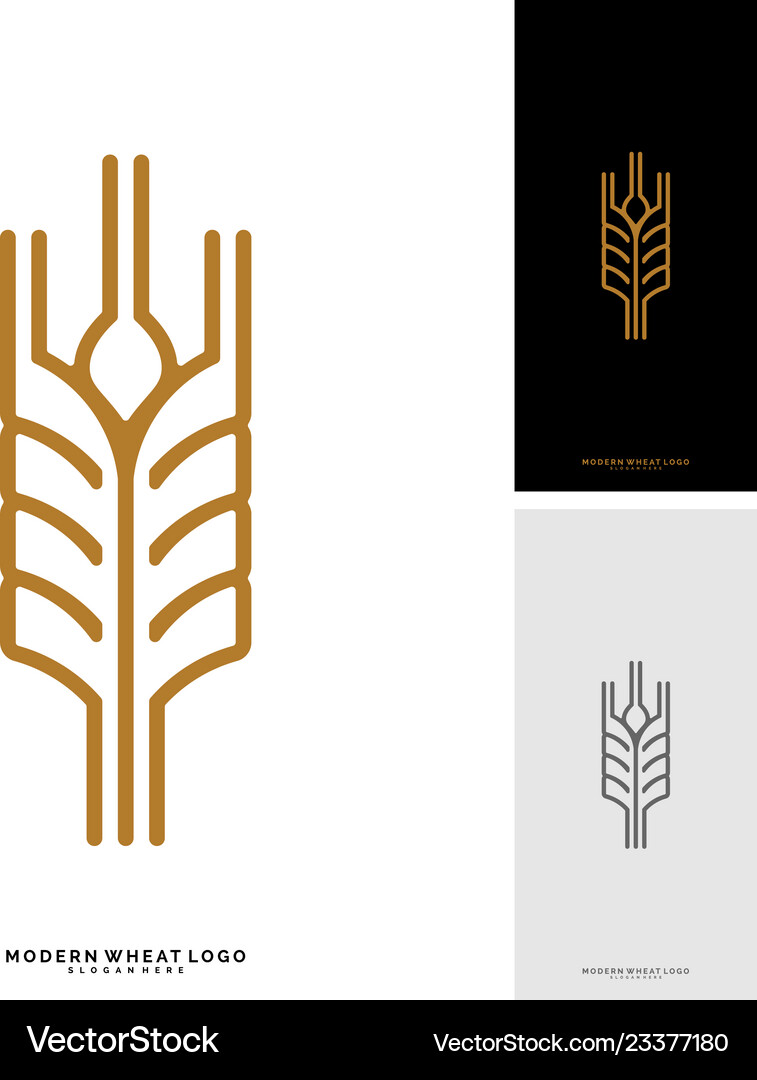 Wheat luxury grain and bread labels nature Vector Image