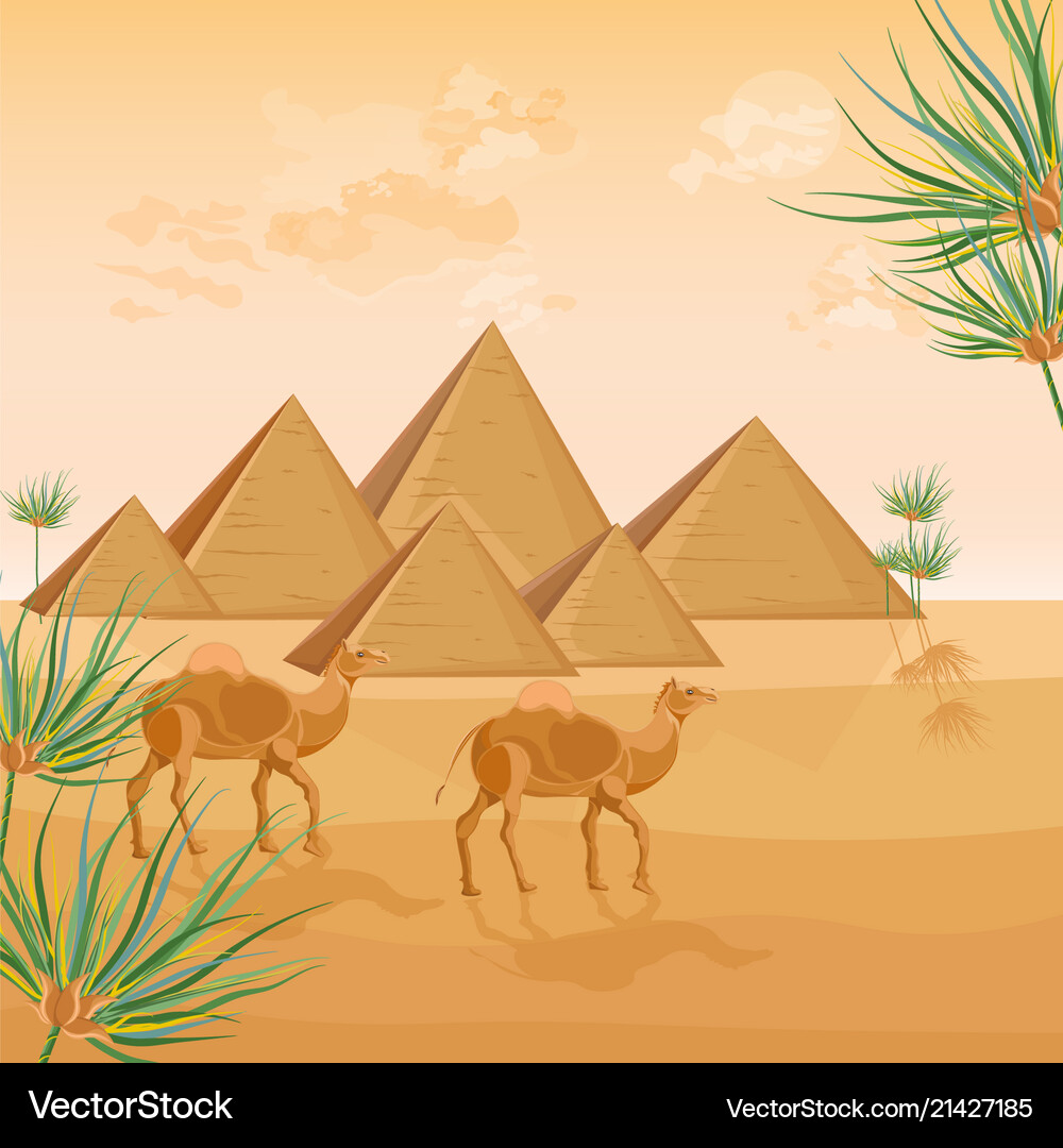 Egypt pyramids card background desert view Vector Image