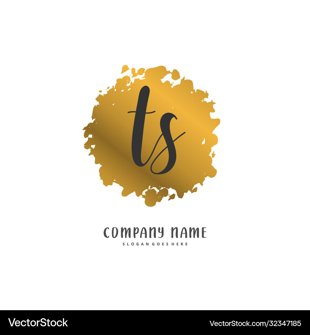 T s ts initial handwriting and signature logo Vector Image