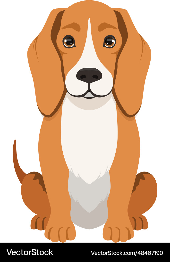 Beagle icon sitting dog friendly cute pet Vector Image