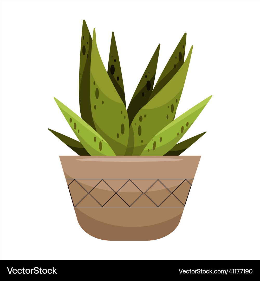 Clay pot with a flower with sharp green leaves Vector Image