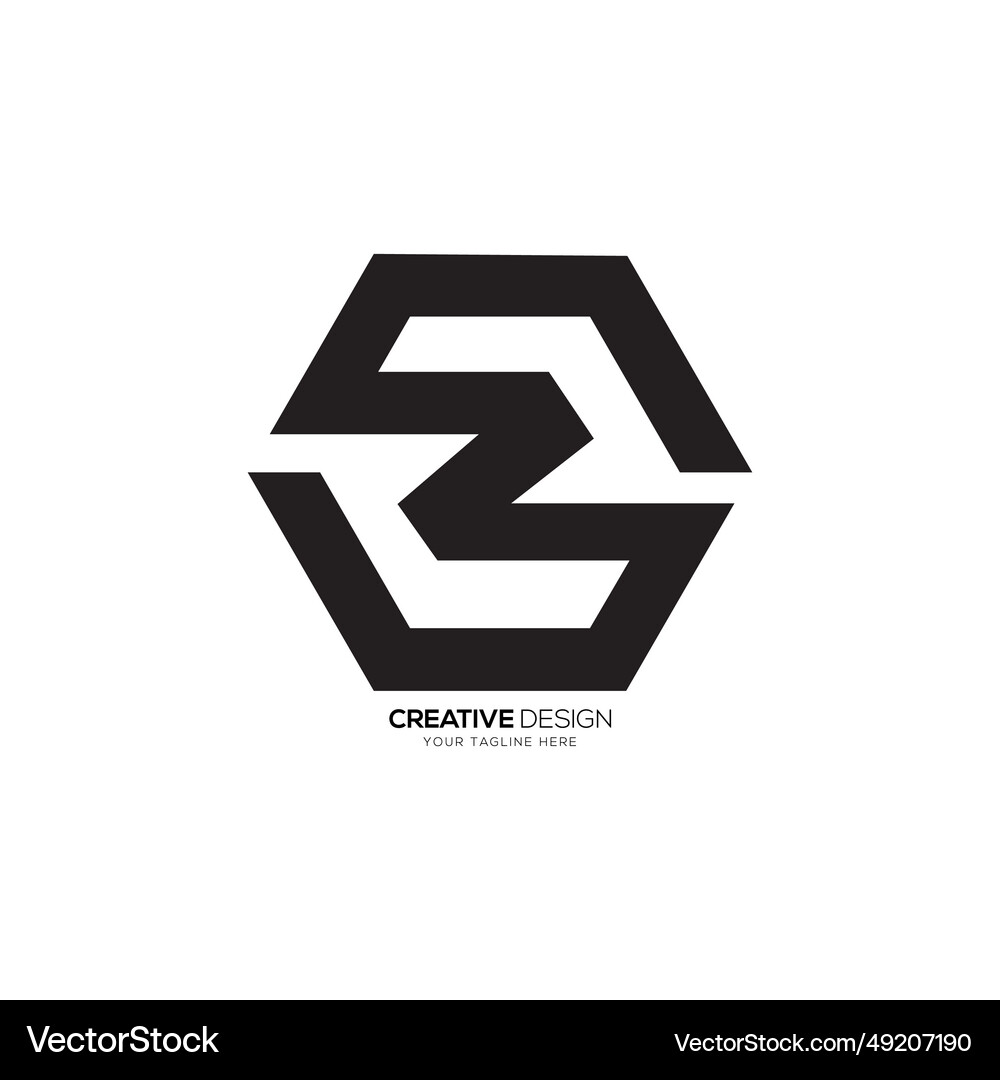 Letter sz or zs hexagonal shapes alphabet modern Vector Image