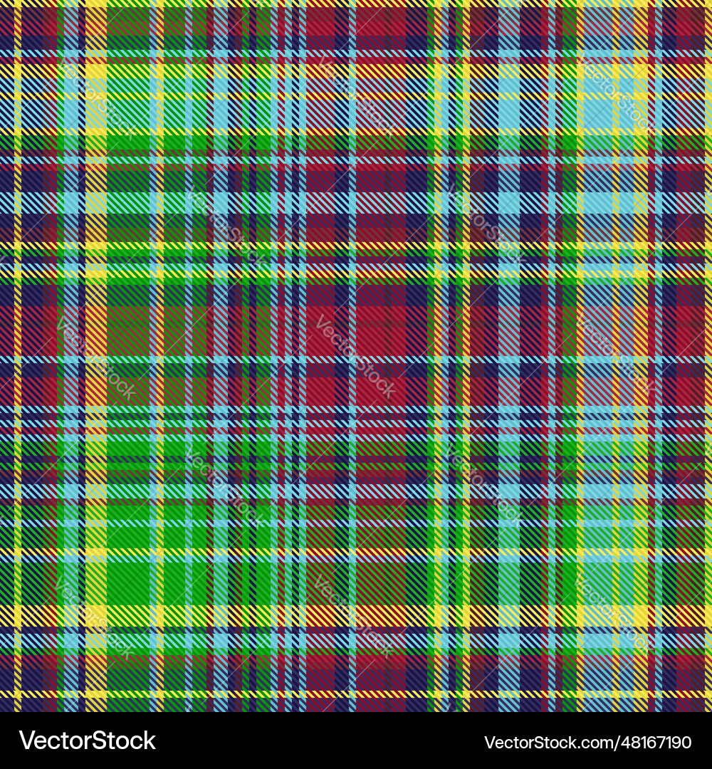 Textile pattern of texture tartan seamless with a Vector Image