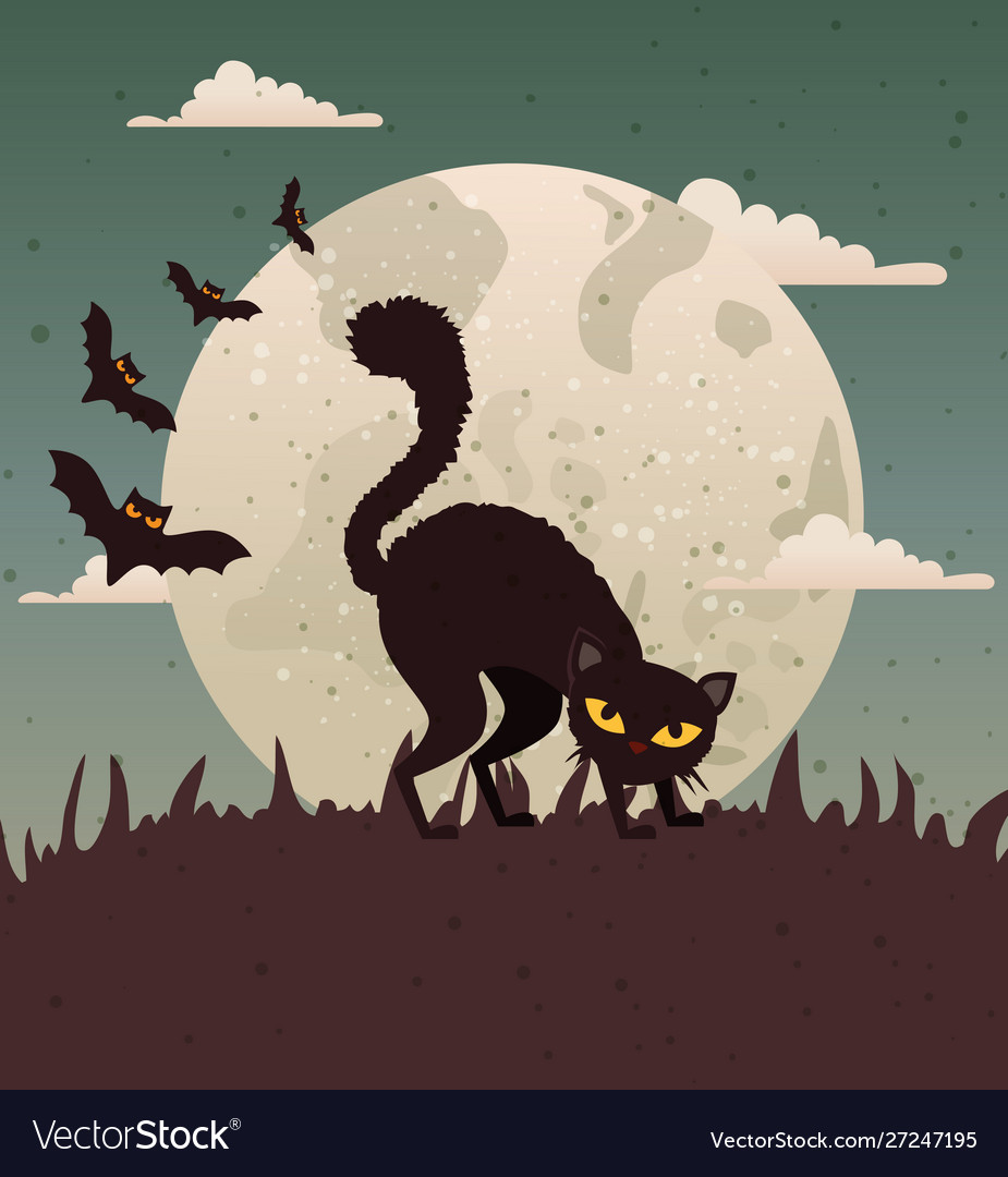 Halloween design with black cat and moon Vector Image