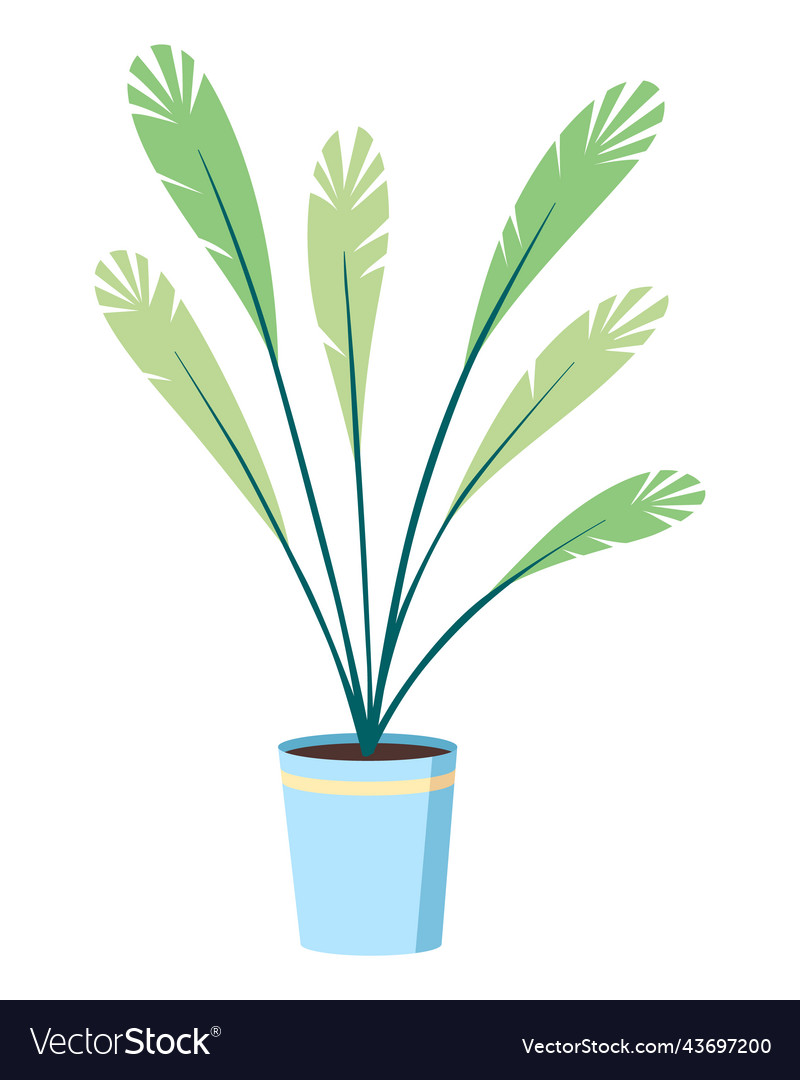 Modern office interior element palm tree in pot Vector Image