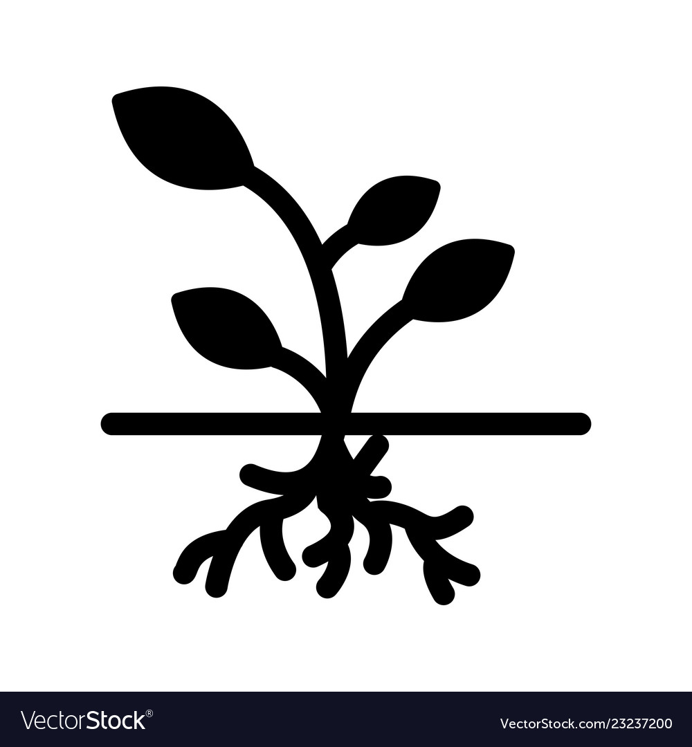 Root icon Royalty Free Vector Image - VectorStock