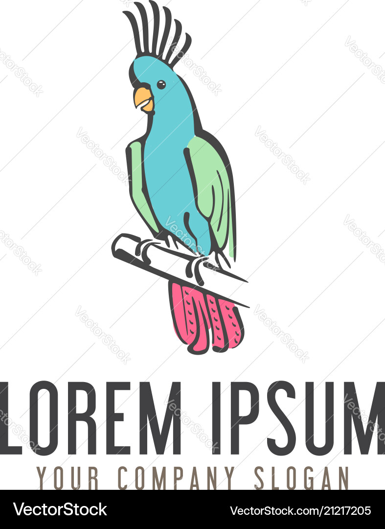 Parrot bird logo hand drawn design concept Vector Image