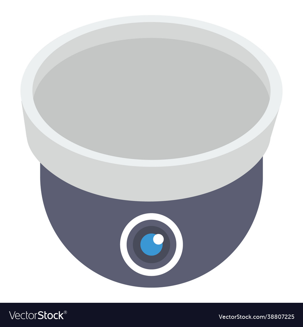 Hidden camera Royalty Free Vector Image - VectorStock