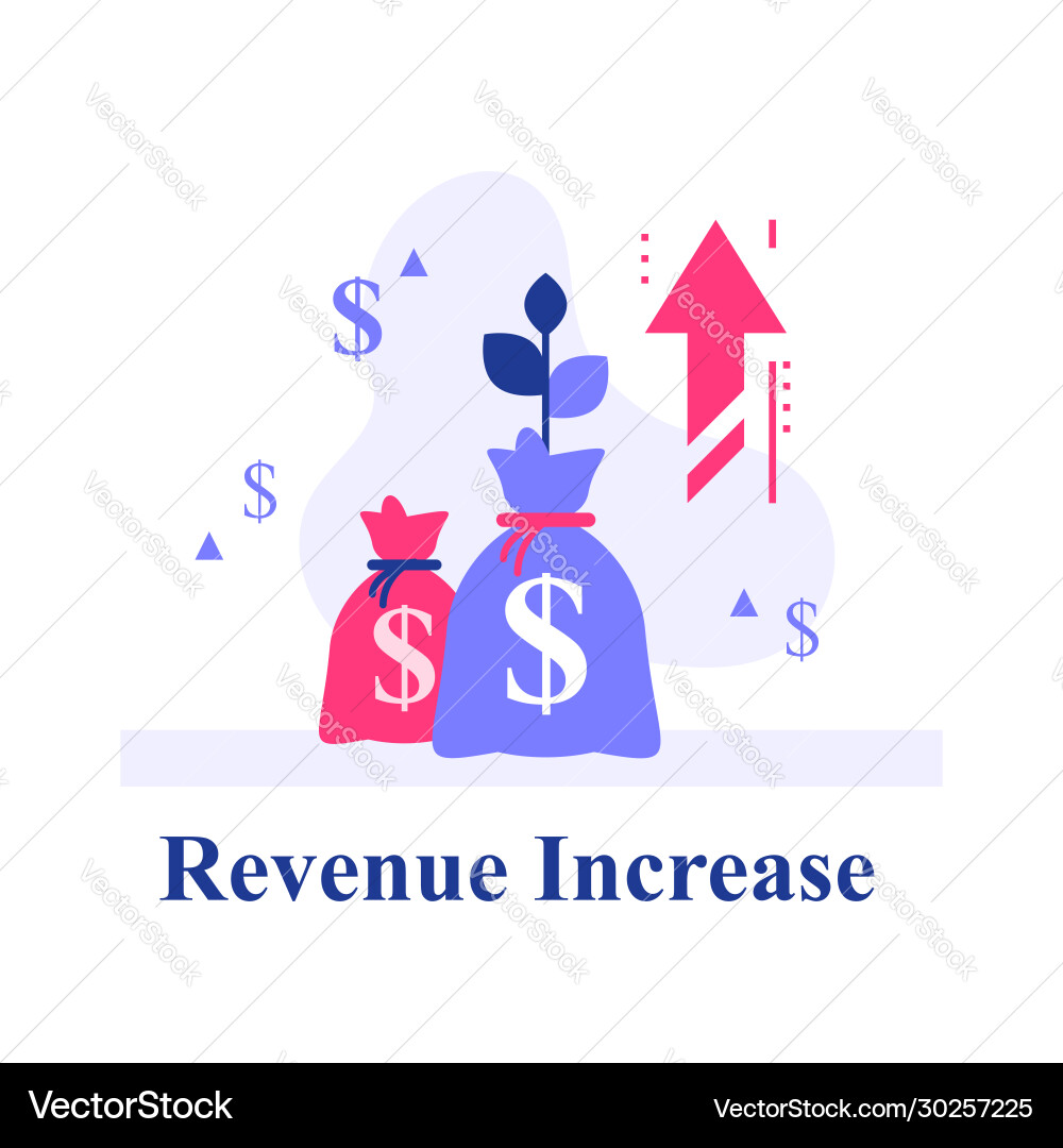 Return on investment financial plan and strategy Vector Image
