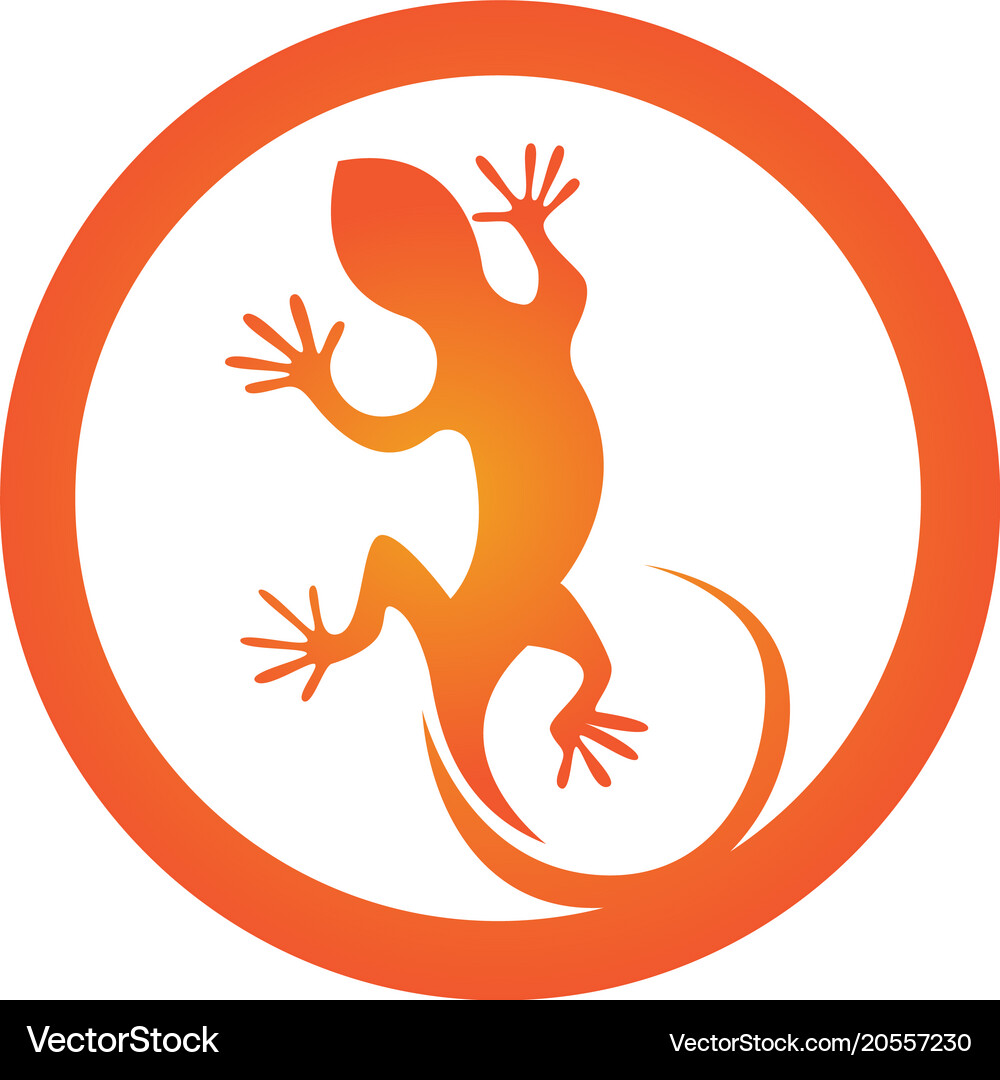 Lizard animals logo and symbols template Vector Image
