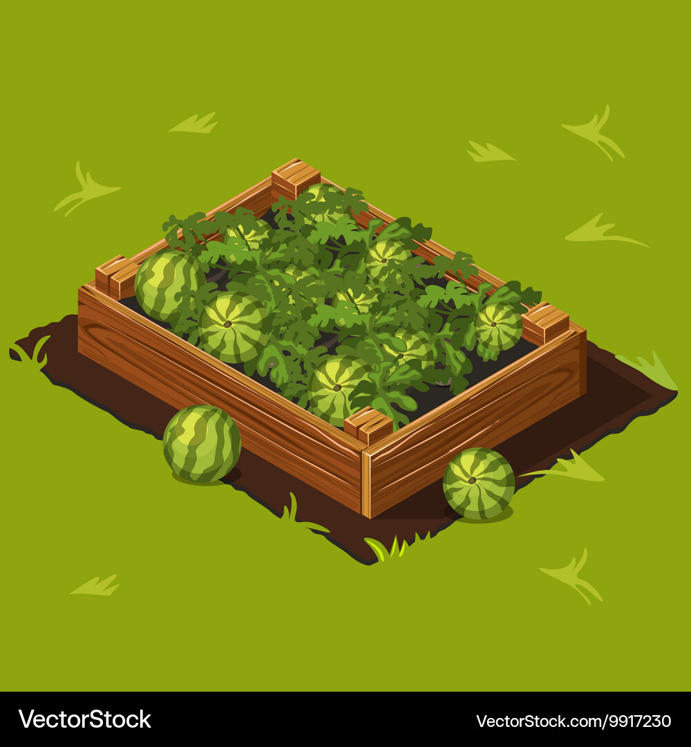 Vegetable Garden Box with Watermelons Set 7 Vector Image