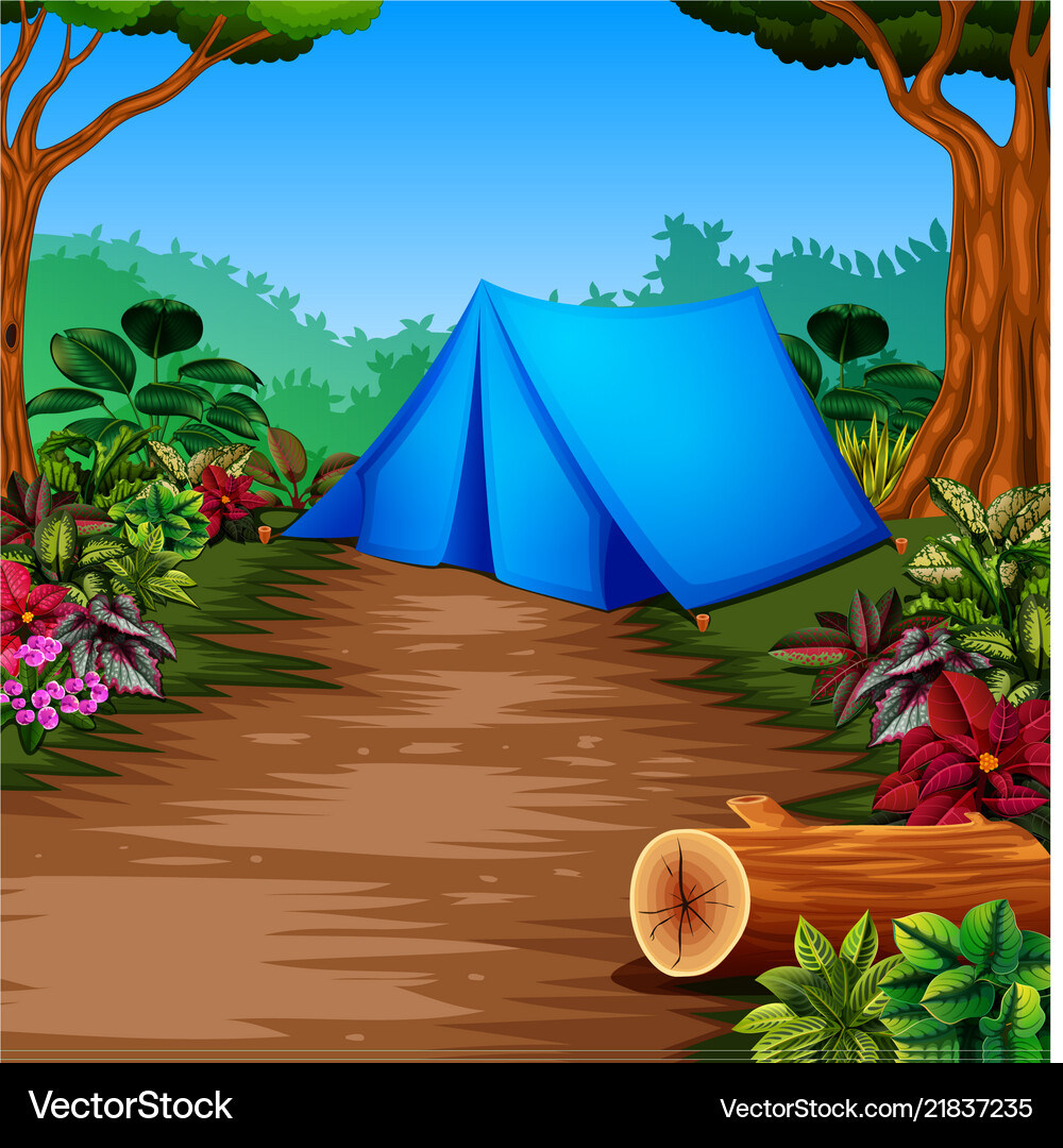 Camp in the forest with beautiful view Royalty Free Vector