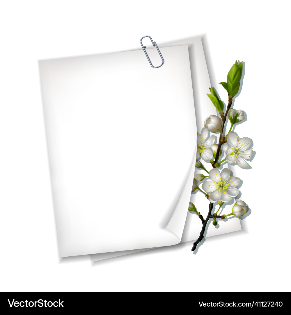 Spring is coming floral banner with blank Vector Image