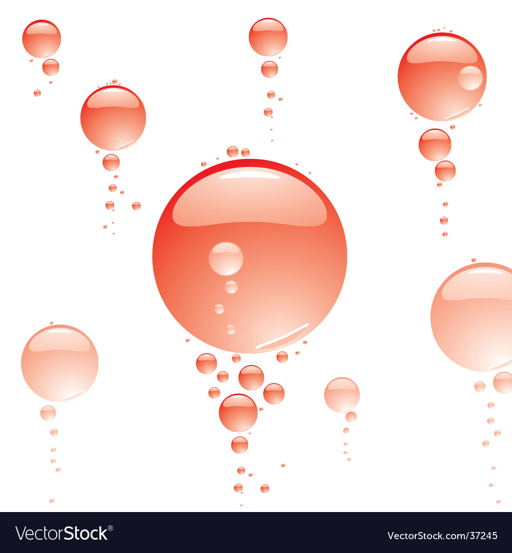 Bubble Royalty Free Vector Image - VectorStock