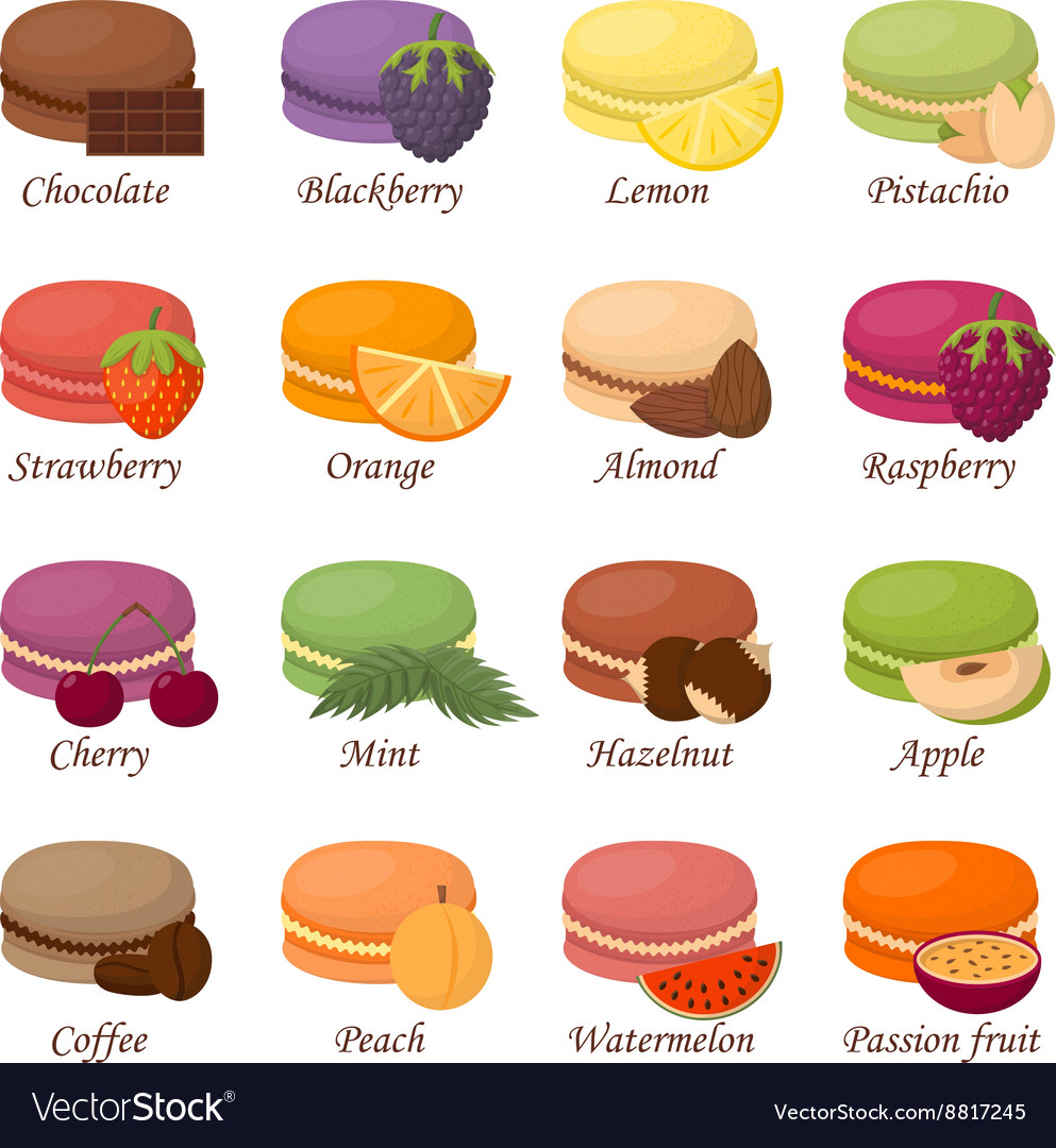 Macaroons Royalty Free Vector Image - VectorStock
