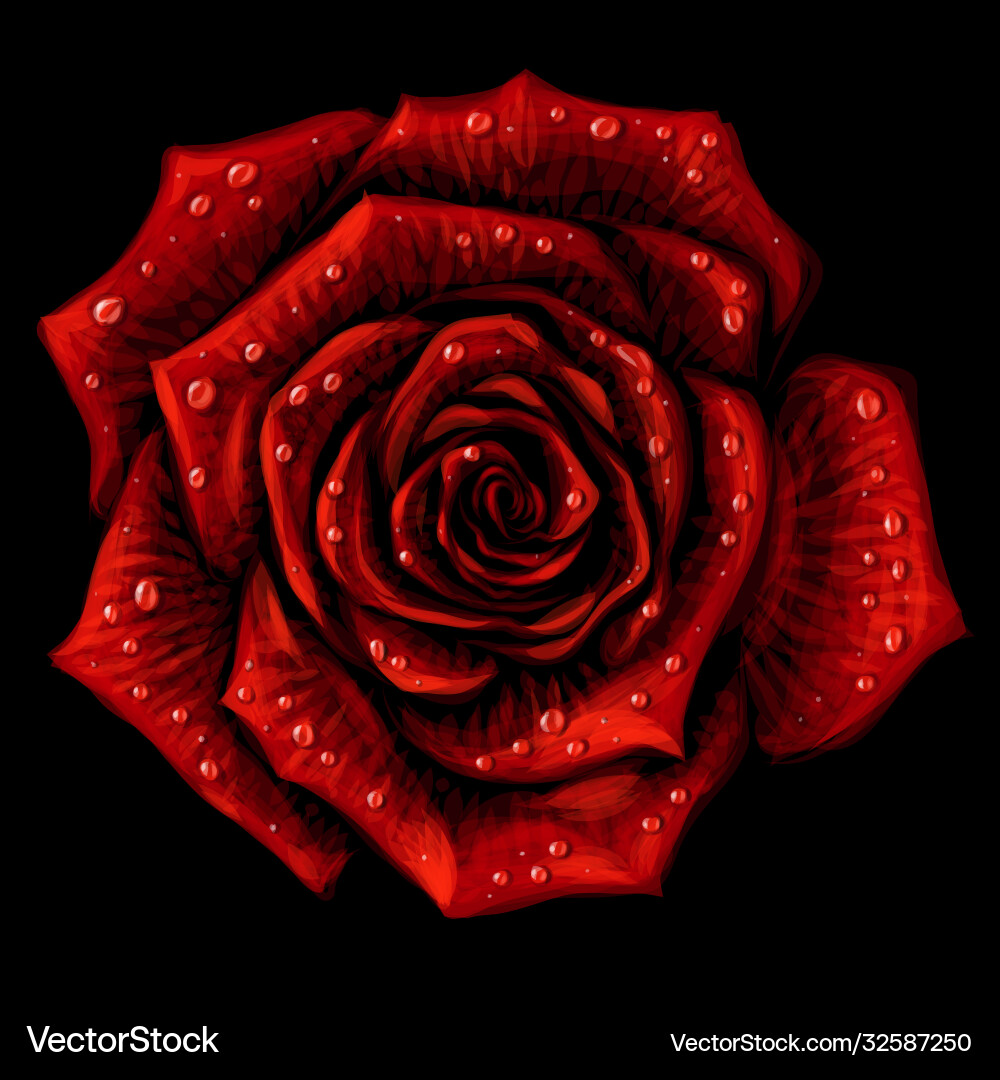 Red rose artistic color image a red rose Vector Image