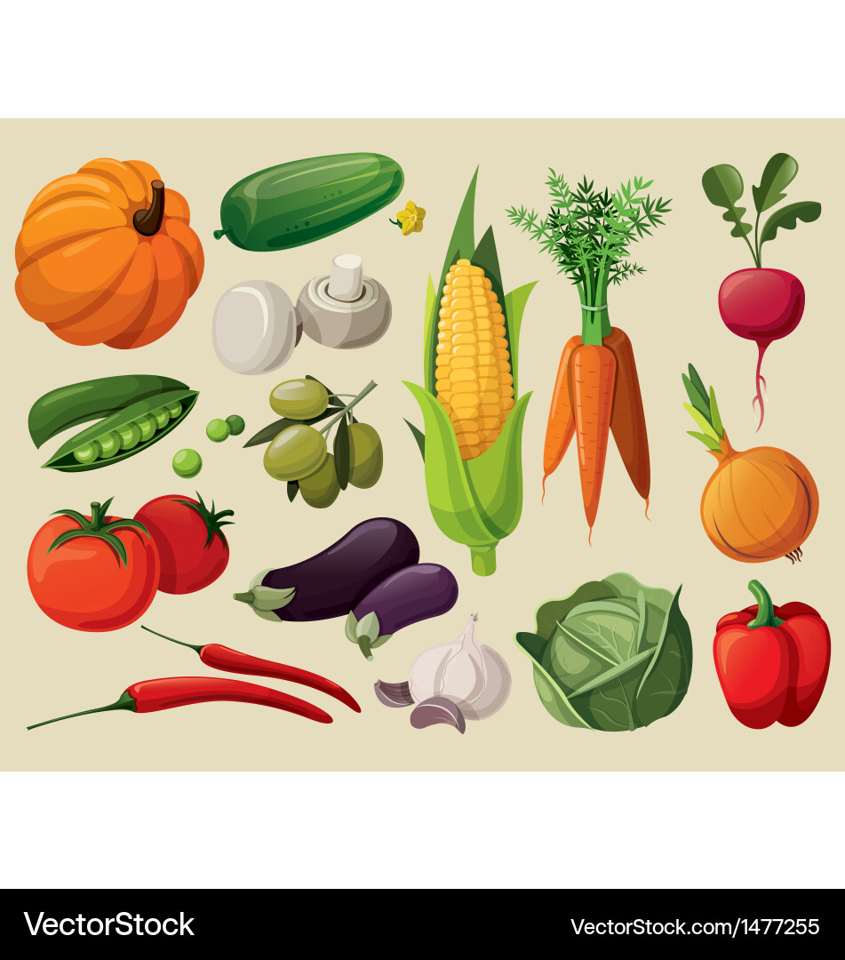 A set of delicious vegetables Royalty Free Vector Image