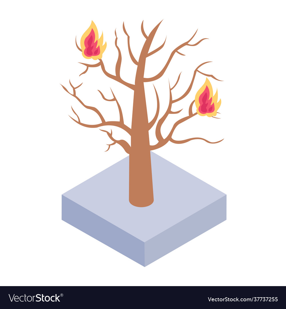 Burning tree Royalty Free Vector Image - VectorStock