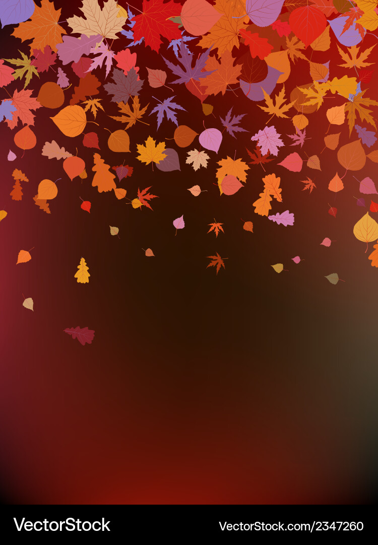 Brown Fall Wallpaper