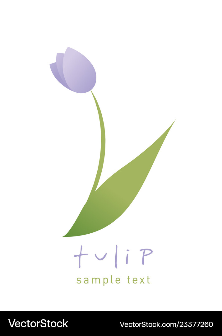 Simple and stylized tulip flower isolated Vector Image