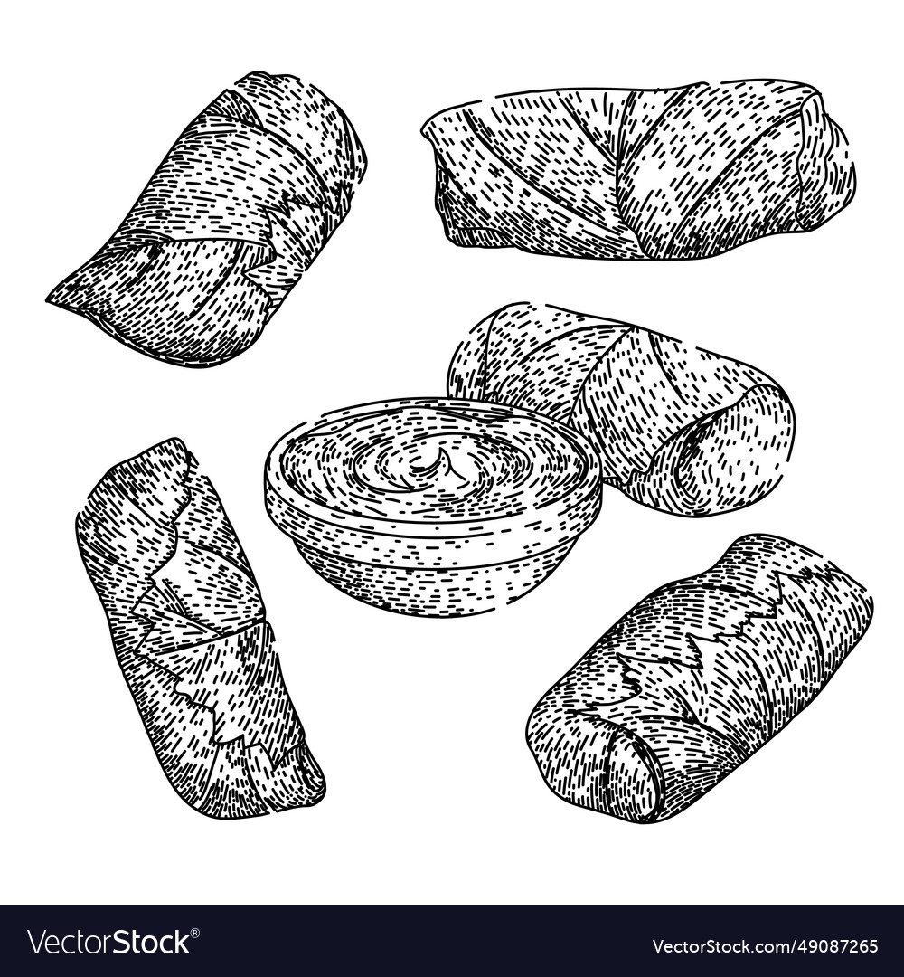 Dolma set sketch hand drawn Royalty Free Vector Image Dolma set sketch hand drawn Royalty Free Vector Image