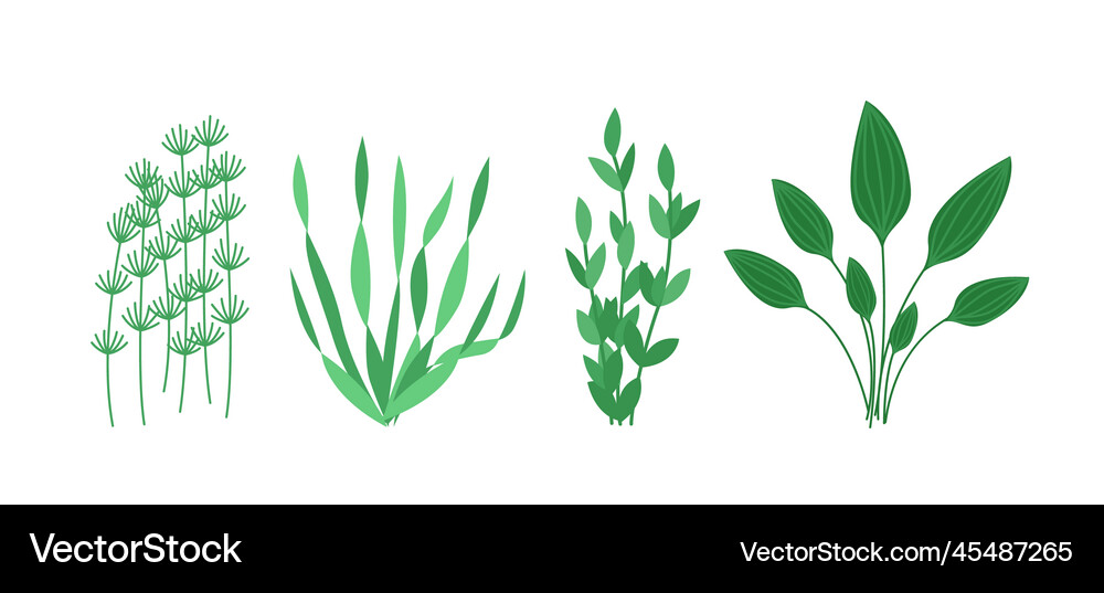 Set of algae for aquarium flat cartoon Royalty Free Vector