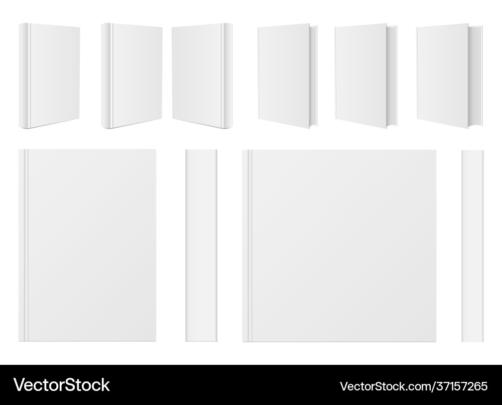 Stylish book mockup design isolated on white Vector Image