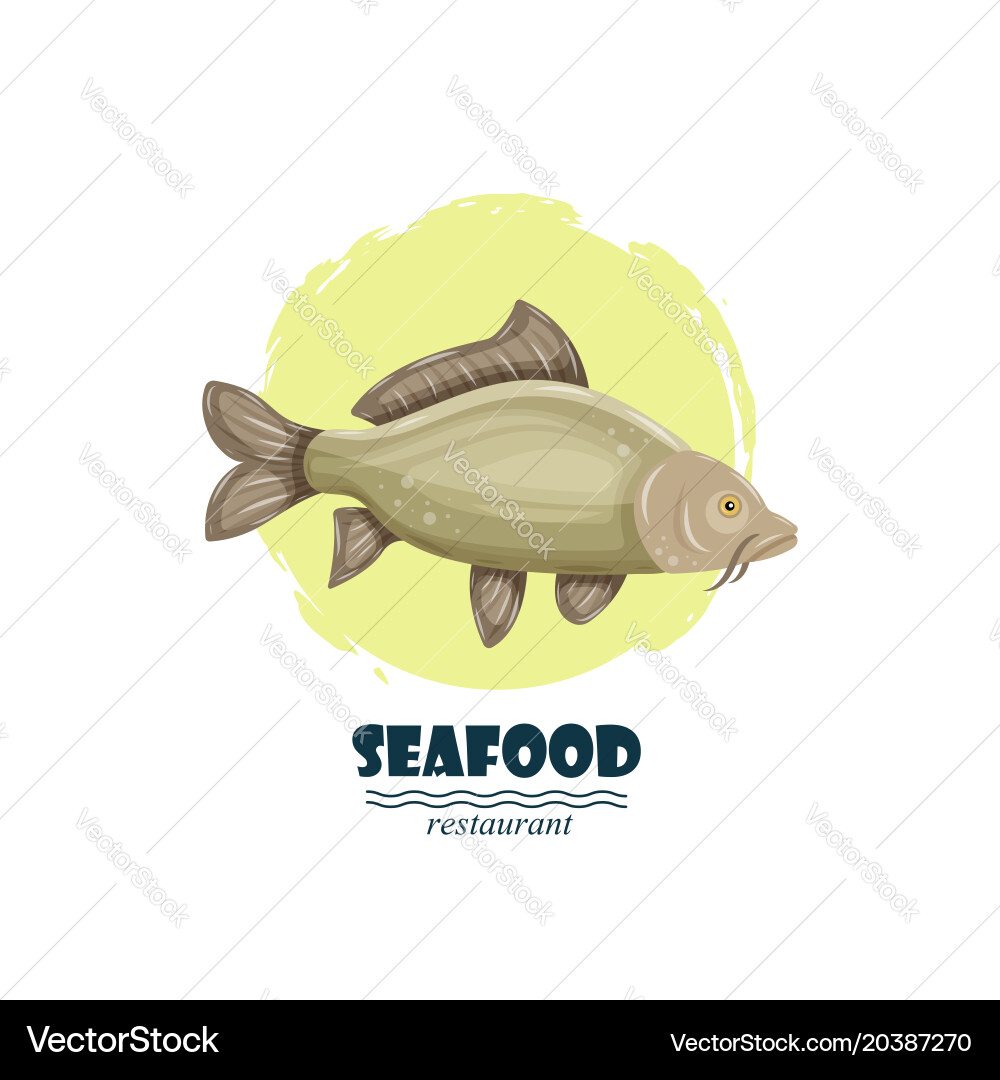 Common carp seafood restaurant label with splash Vector Image