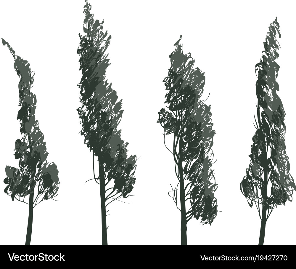 Set sketches trees isolated on white background Vector Image