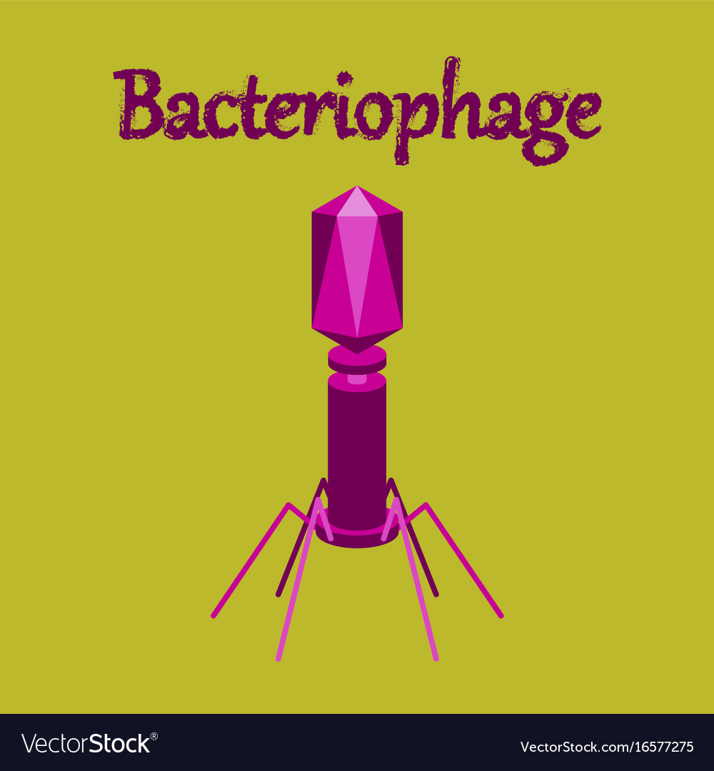 Human icon in flat style bacteriophage Royalty Free Vector