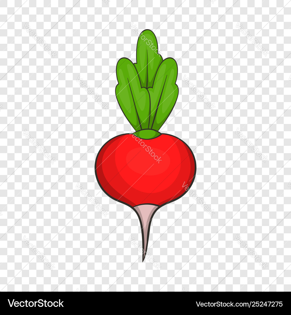 Radish icon cartoon style Royalty Free Vector Image