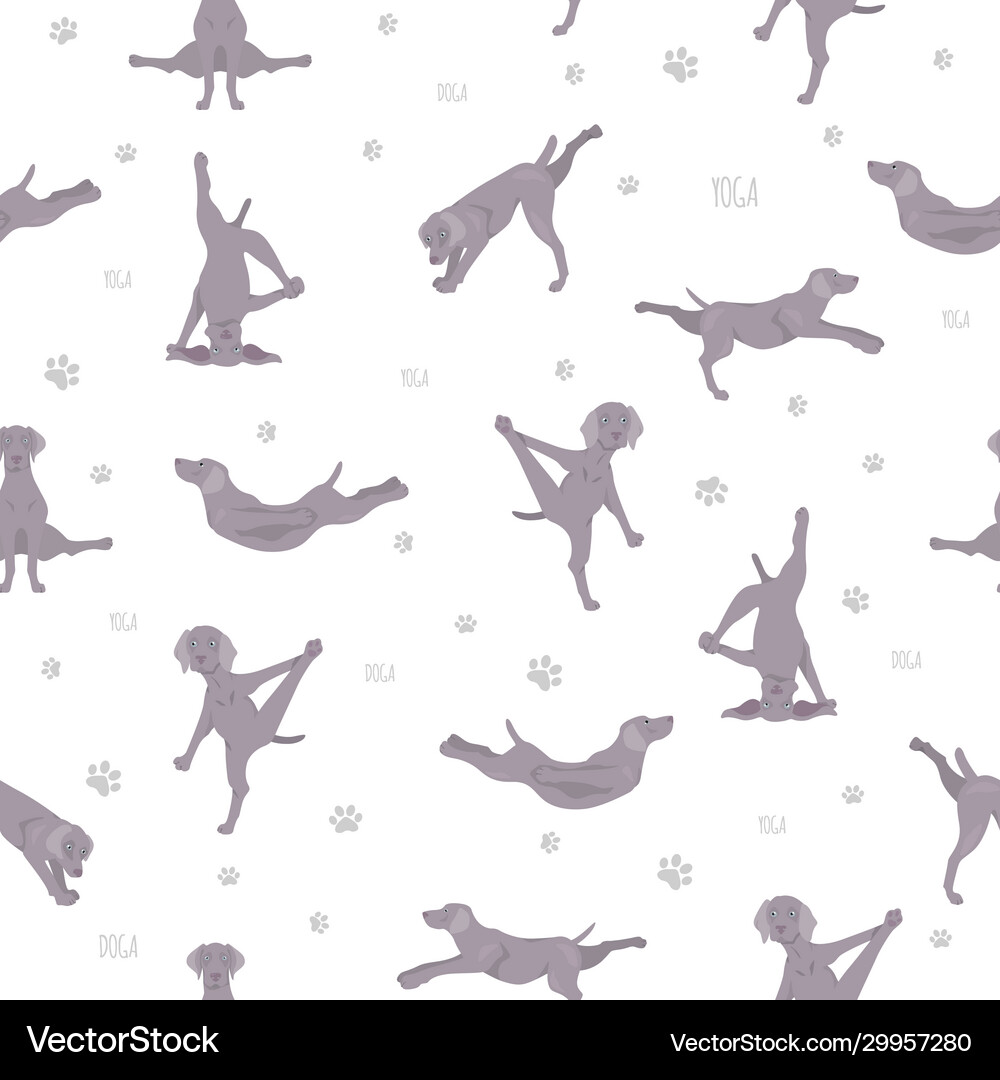 Yoga dogs poses and exercises seamless pattern Vector Image