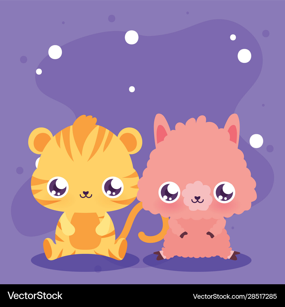 Cute llama and tiger cartoon design Royalty Free Vector