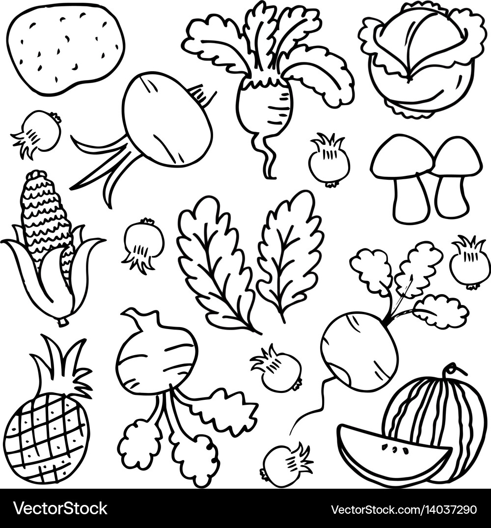 Doodle of vegetable set hand draw Royalty Free Vector Image