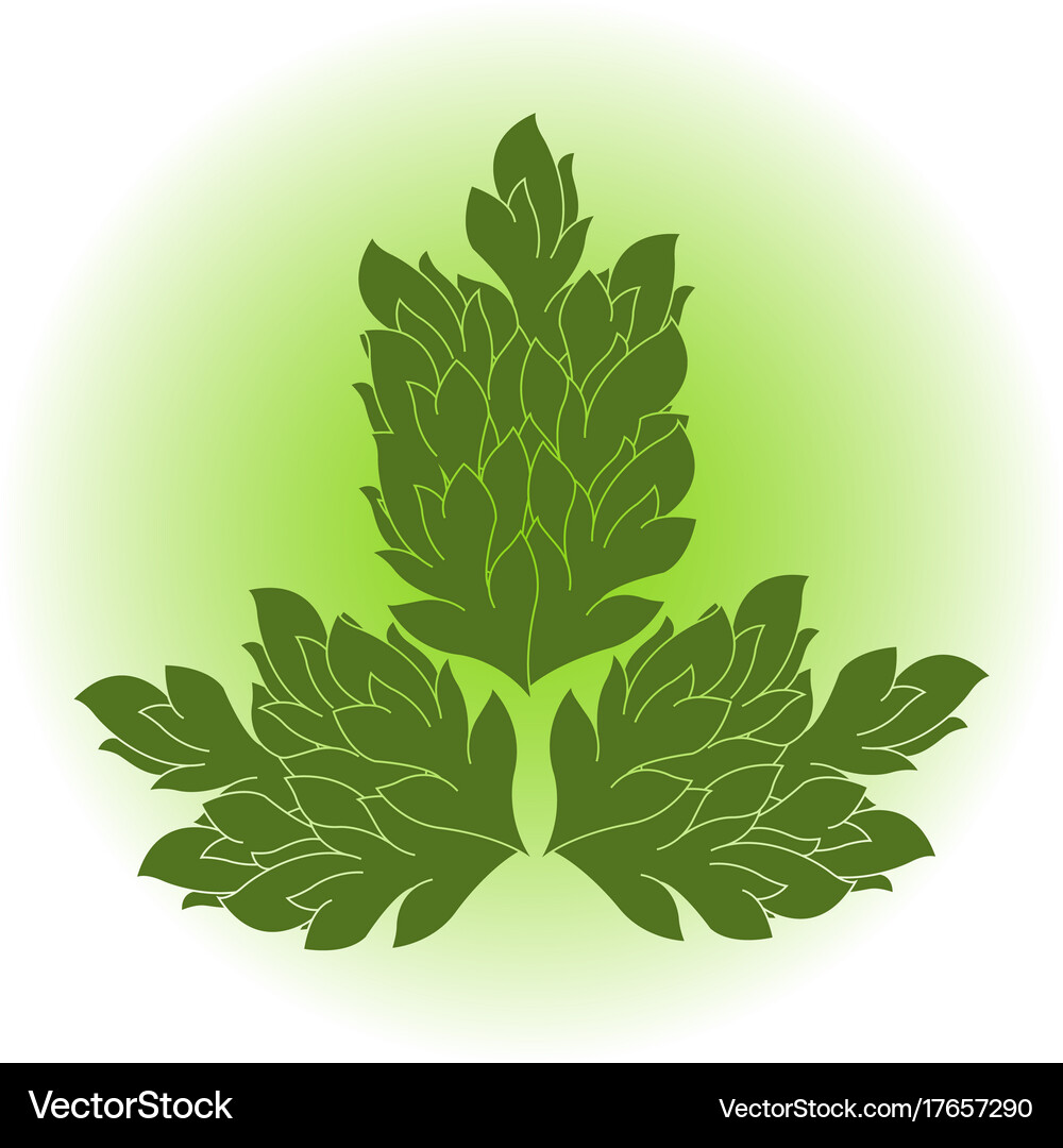 Image of a green plant Royalty Free Vector Image