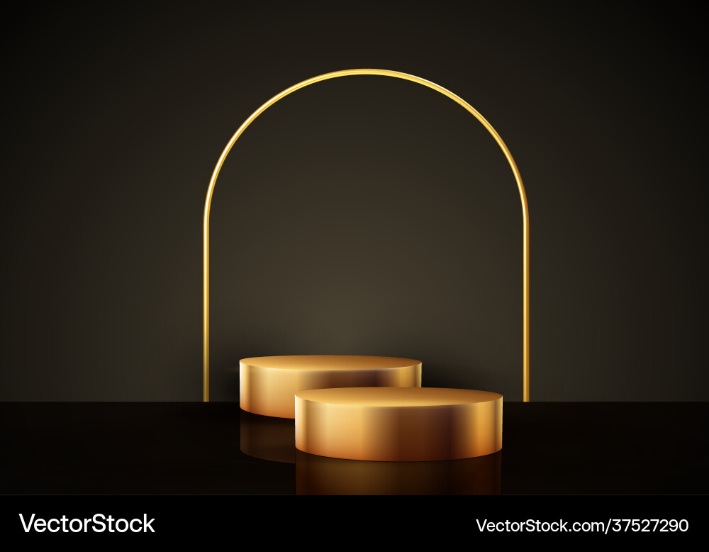 Minimal black scene with geometric shapes Vector Image